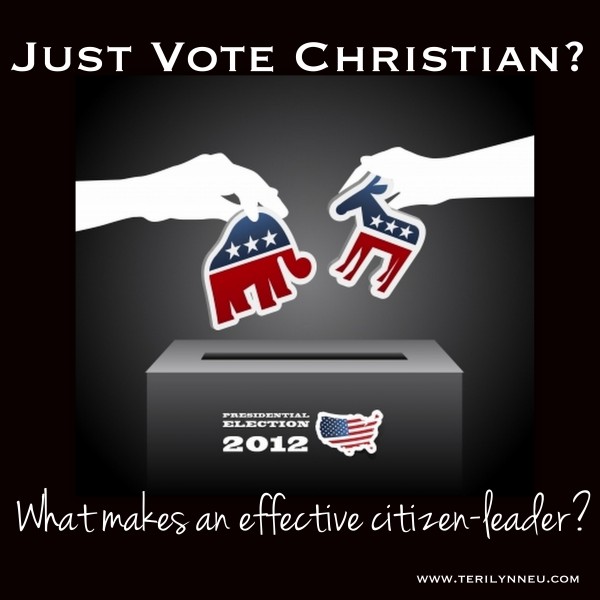 Just Vote Christian?My Thoughts on Effective Citizen-Leaders