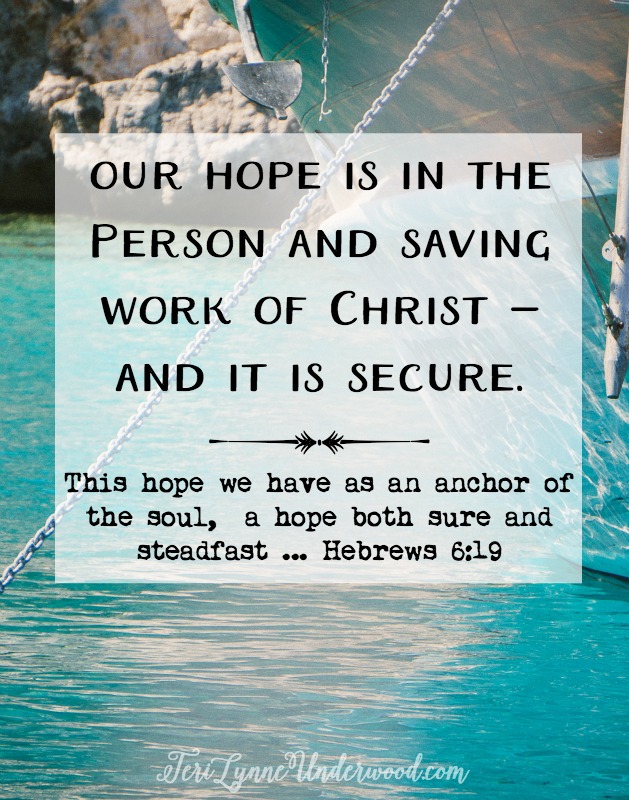 Hope, the Anchor for Our Souls – Teri Lynne Underwood
